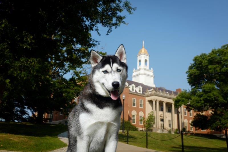 Bursar Staff Access Only | Office of the Bursar